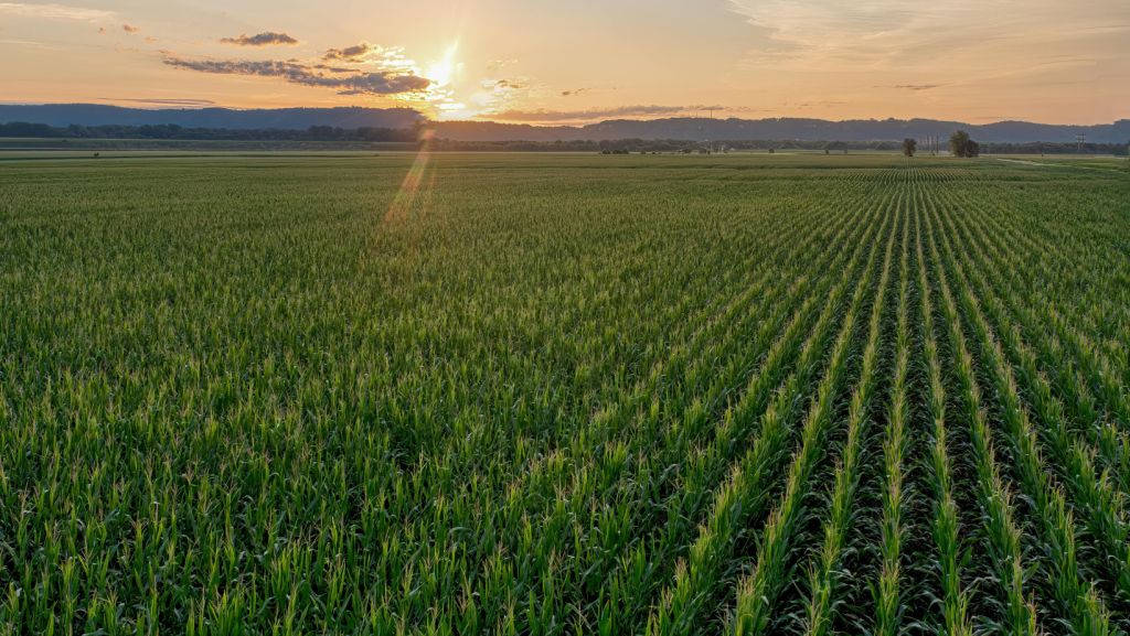 Article | Cultivating a lower-carbon food supply chain: Unlocking Scope ...